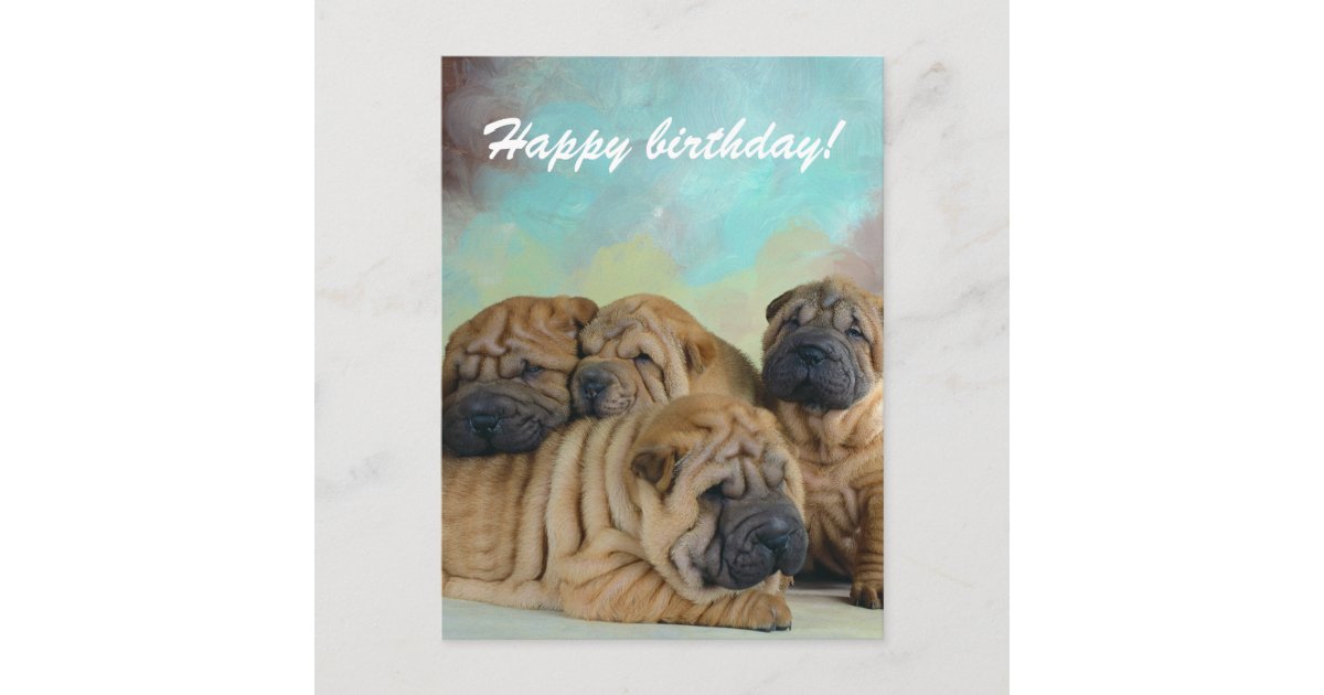 Lazy shar pei Happy birthday! card | Zazzle