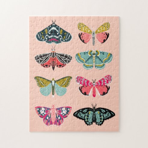 Moth Jigsaw Puzzles | Zazzle.com.au