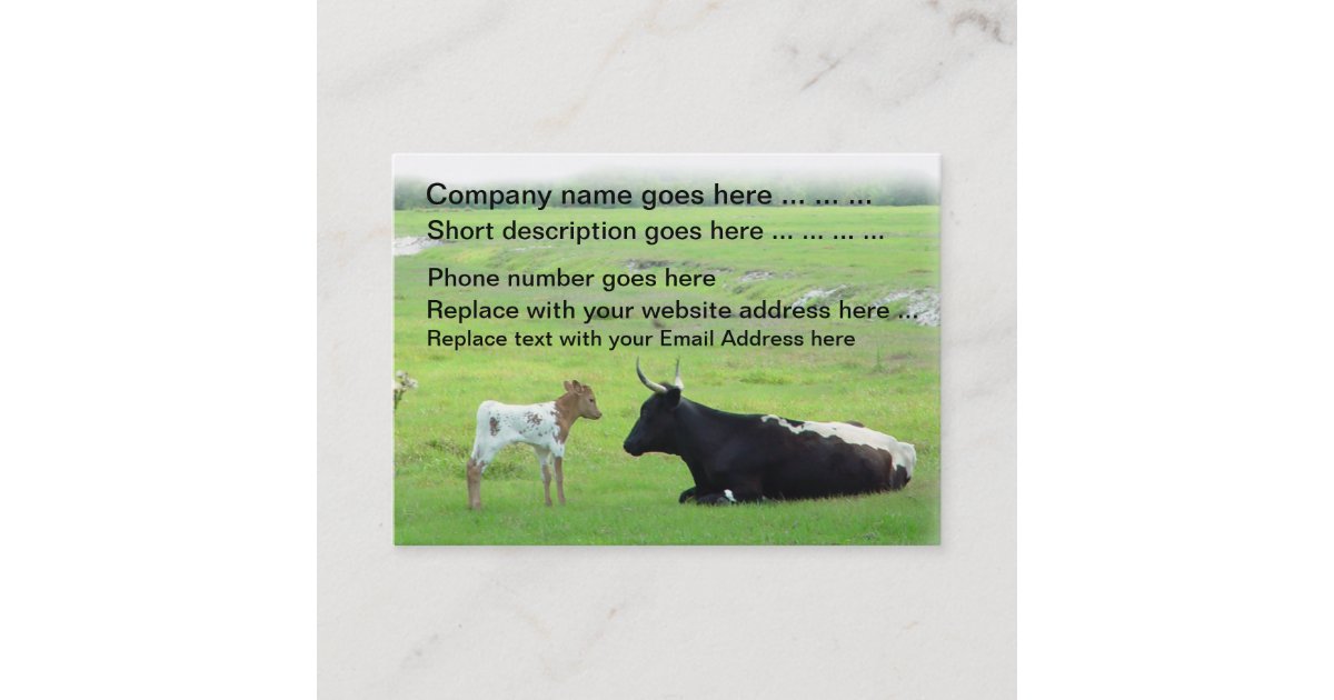 Longhorn cows calf cattle Business Cards | Zazzle