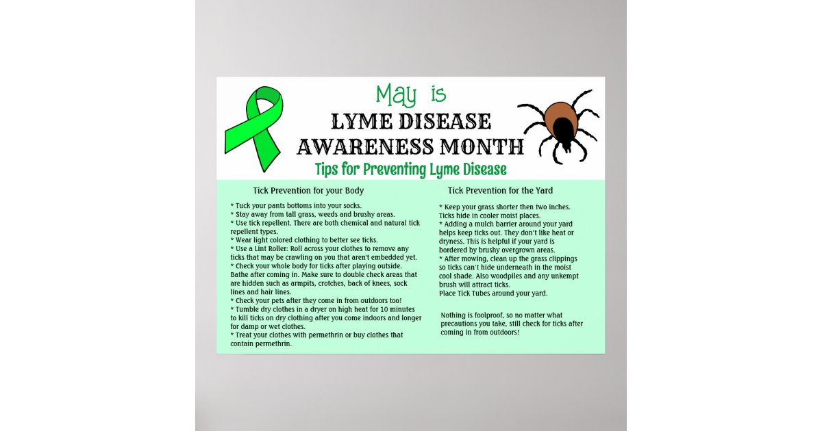 Lyme Disease Prevention Educational Poster | Zazzle