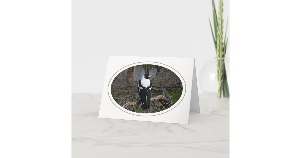 Magpie Birthday Card | Zazzle