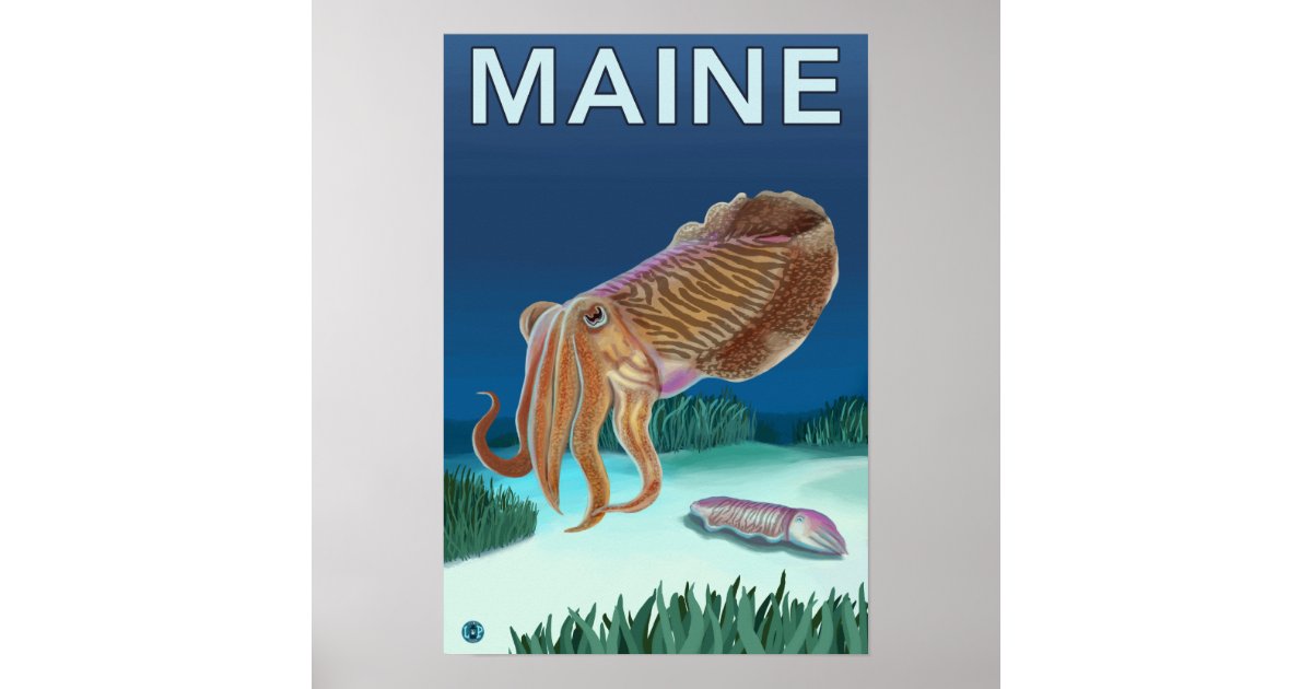 MaineCuttlefish Scene Poster | Zazzle