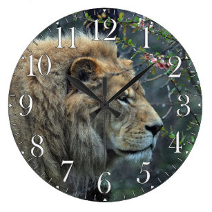 African Lion Wall Clocks | Zazzle.com.au