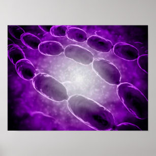 Pneumonia Posters & Photo Prints | Zazzle AU