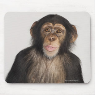 Monkey Mouse Pads | Zazzle AU