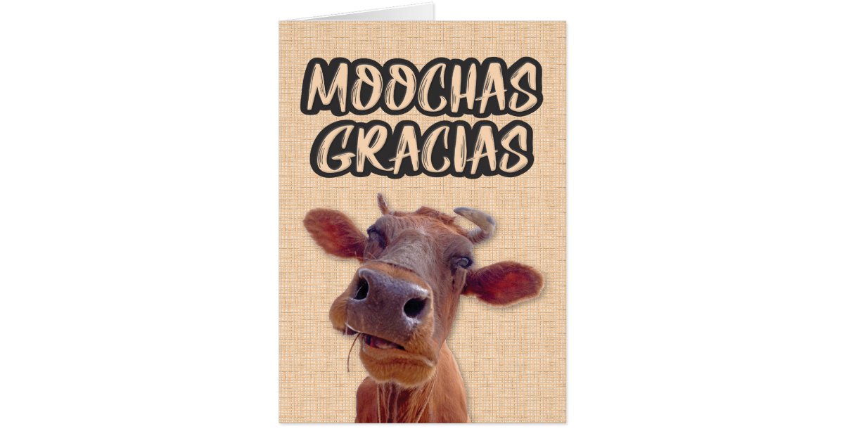 “Moochas Gracias” Cow Thank You Card | Zazzle