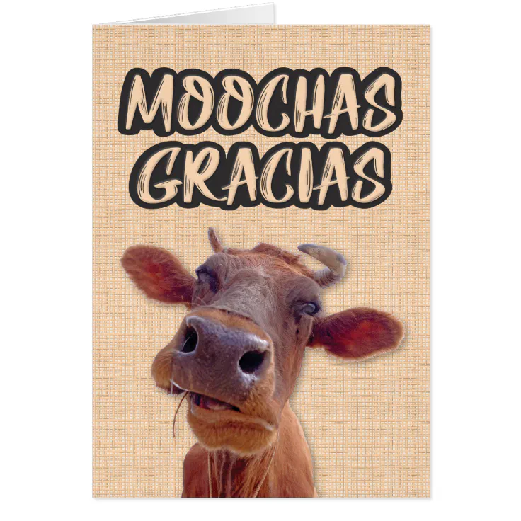 “Moochas Gracias” Cow Thank You Card | Zazzle