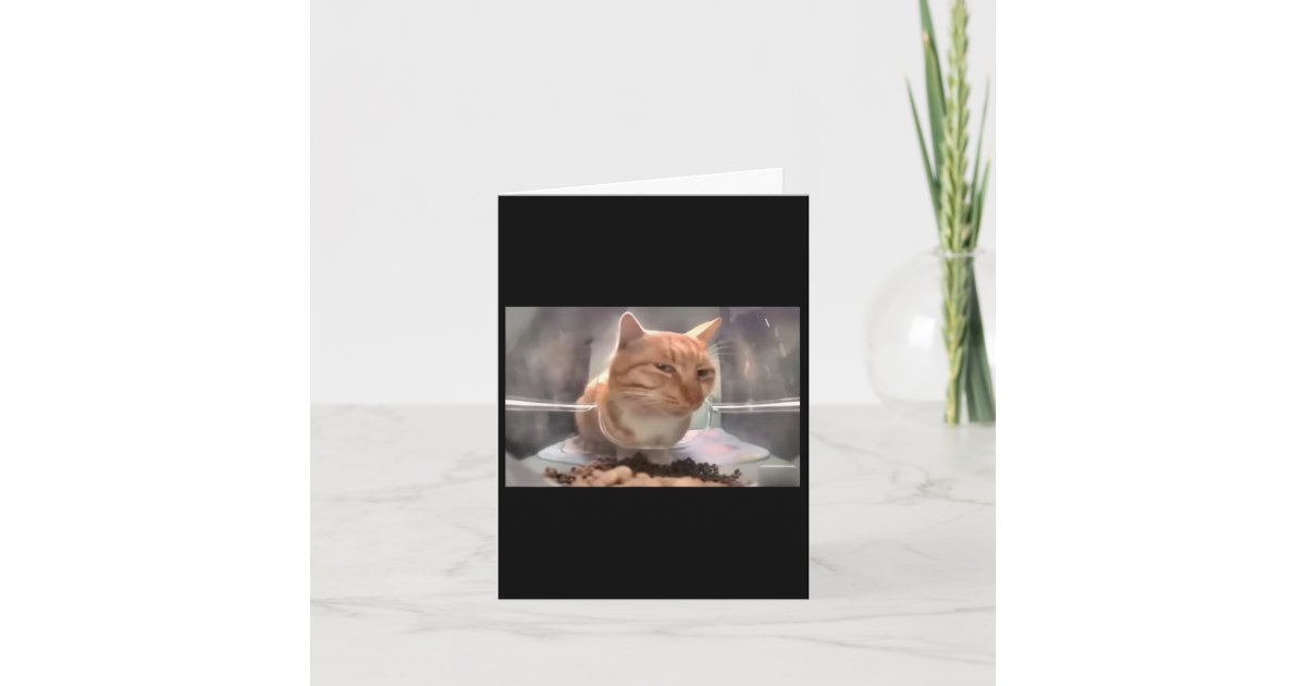 Mr Fresh Cat Meme Side Eye Cat Card | Zazzle