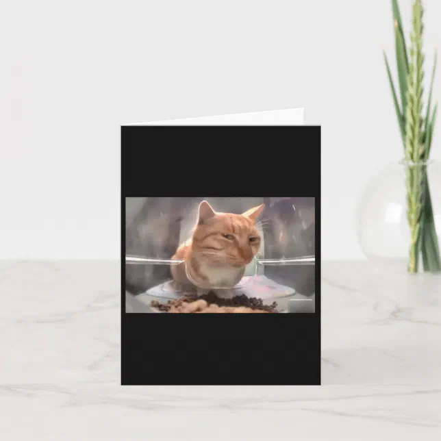 Mr Fresh Cat Meme Side Eye Cat Card | Zazzle