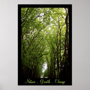 Changing Posters & Photo Prints | Zazzle AU