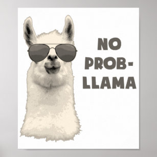 No Problem Posters & Photo Prints | Zazzle AU