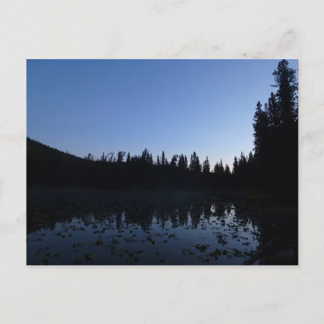 Nymph Lake at Dawn Postcard | Zazzle