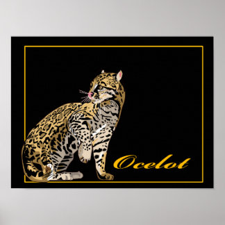 Leopard Posters | Zazzle.com.au