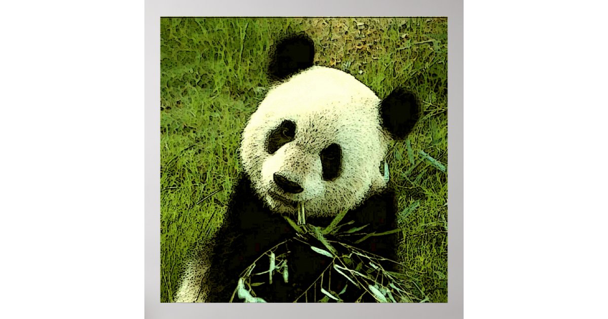 Panda Poster - Panda Posters Prints | Zazzle