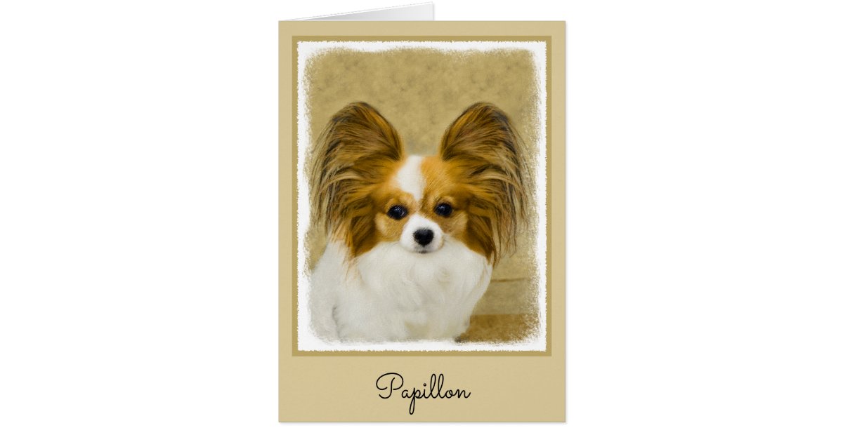 Papillon (Hound Tri) Painting - Original Dog Art | Zazzle