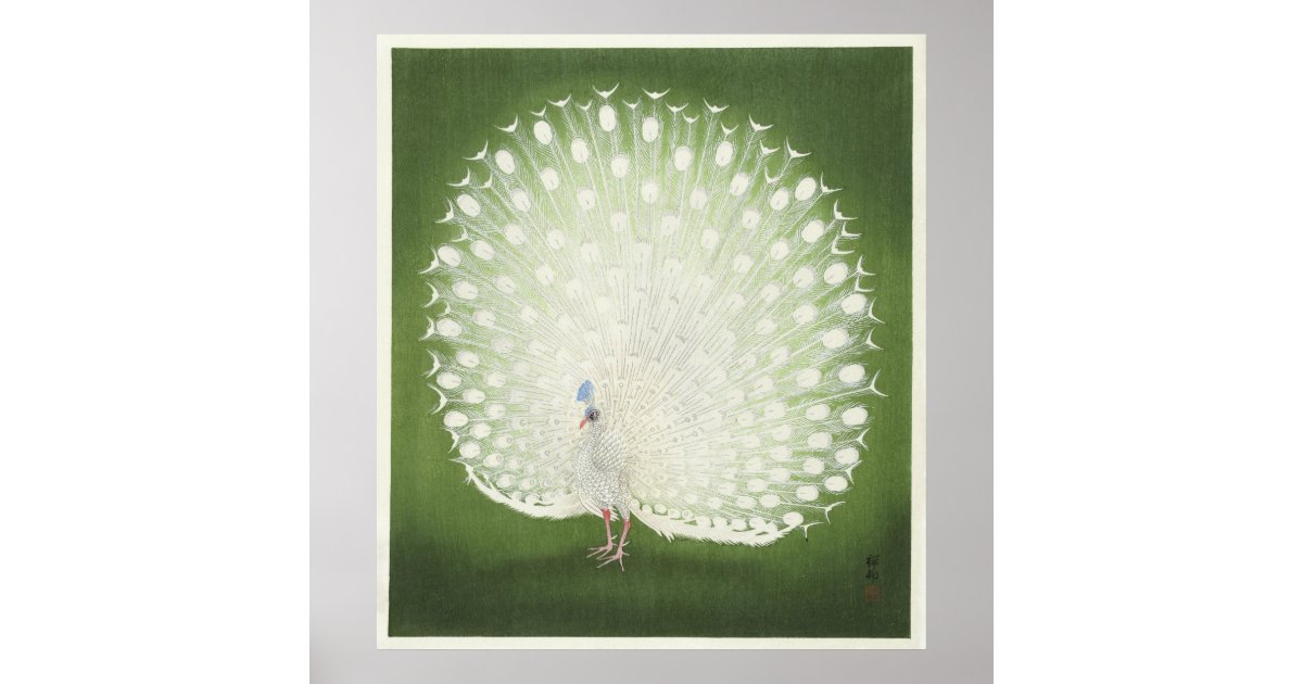 Peacock by Ohara Koson Vintage Print Poster | Zazzle