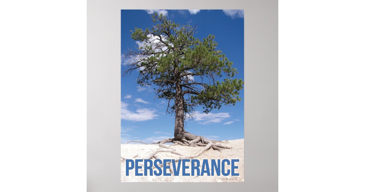 Perseverance Tree Motivational Poster | Zazzle