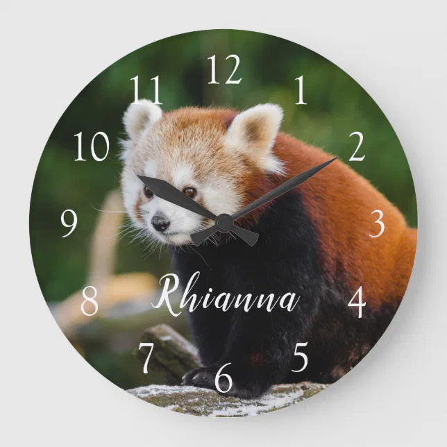 Personalized Cute Wild Red Panda Large Clock | Zazzle