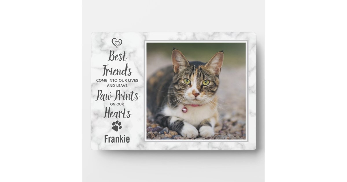 Pet Memorial Cat Photo plaque | Zazzle