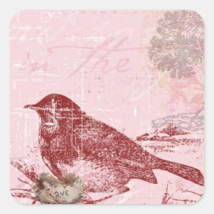 Red Bird Stickers | Zazzle AU