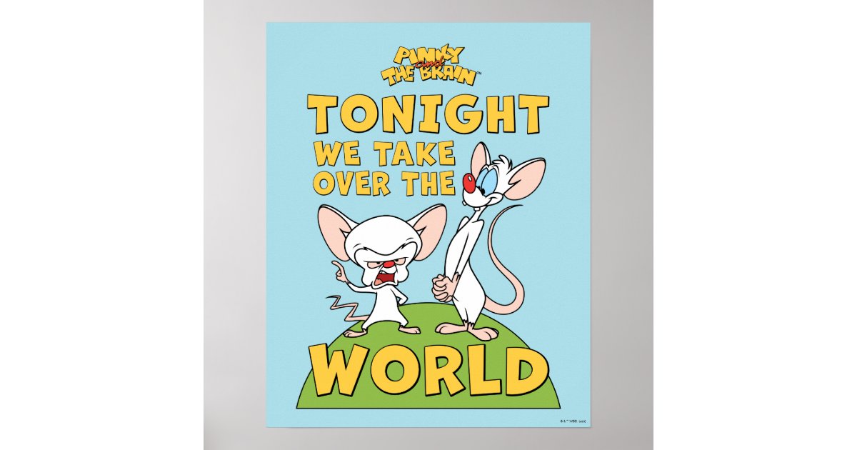 Pinky and the Brain | Take Over The World Poster | Zazzle