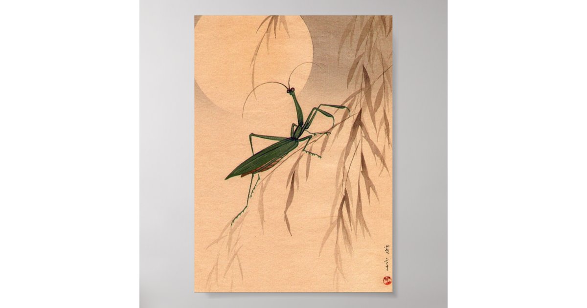 Praying Mantis and the Moon Japanese Art c. 1800s Poster | Zazzle