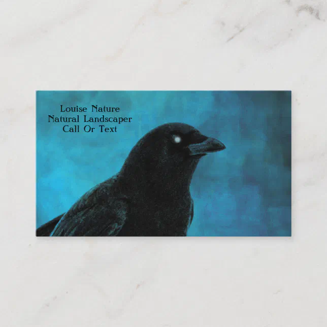 Pretty Blue And Raven Business Card | Zazzle