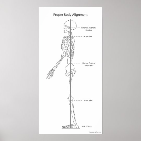 Proper Body Alignment Poster | Zazzle.com.au
