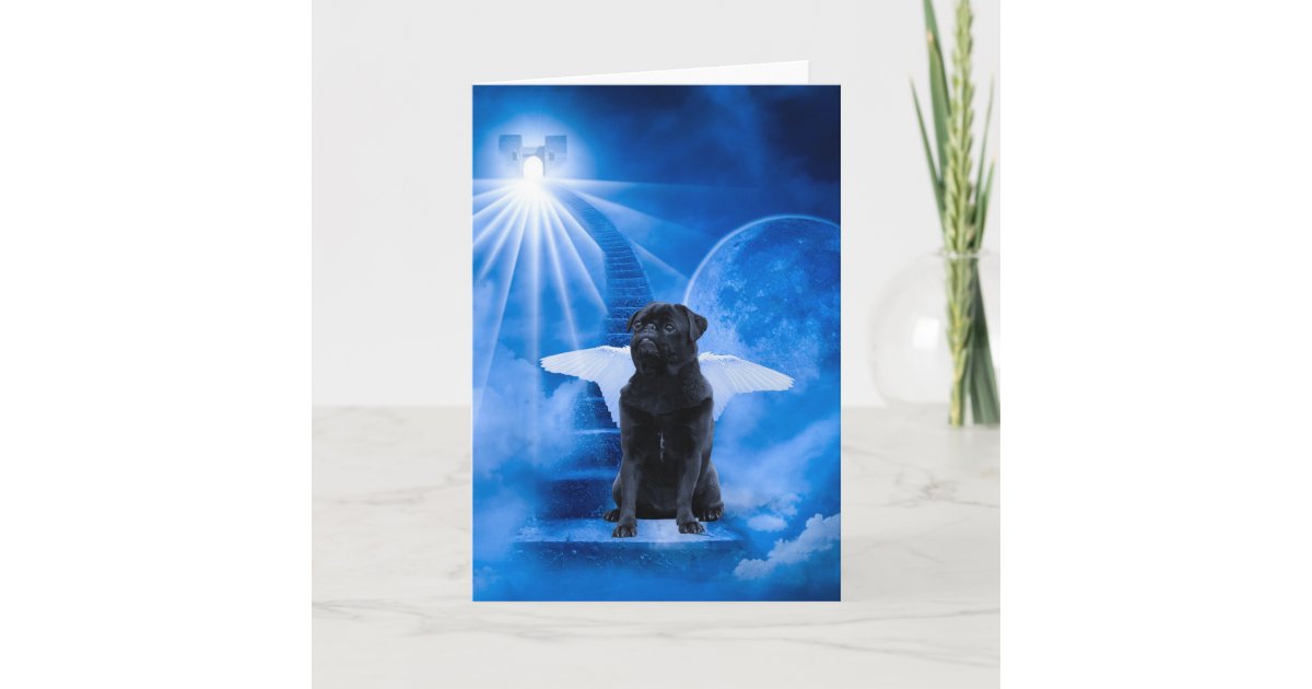 Pug in Heaven as Angel Sympathy Card | Zazzle