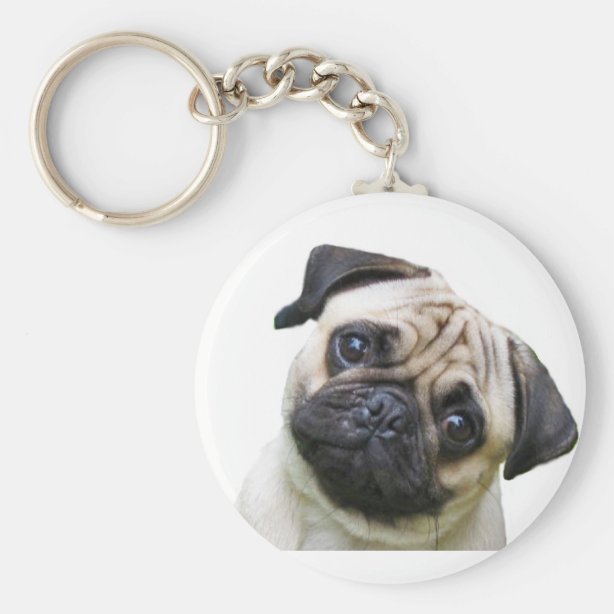 Pug Gifts on Zazzle AU