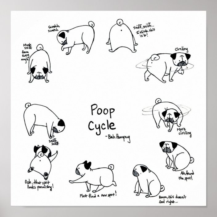 Pug Poop Cycle Poster | Zazzle.com.au