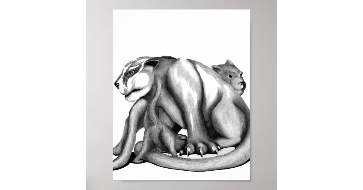 Puma family black and white line art drawing poster | Zazzle
