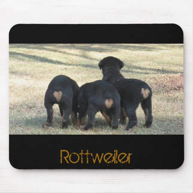 Puppy times three mouse pad | Zazzle