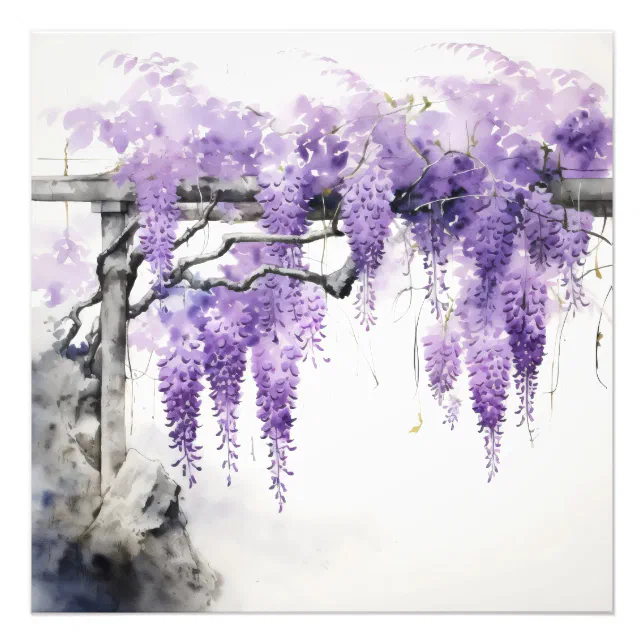 Purple Flowers Colour Wisteria Photo Print | Zazzle