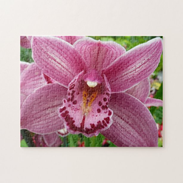 Orchid Jigsaw Puzzles | Zazzle.com.au