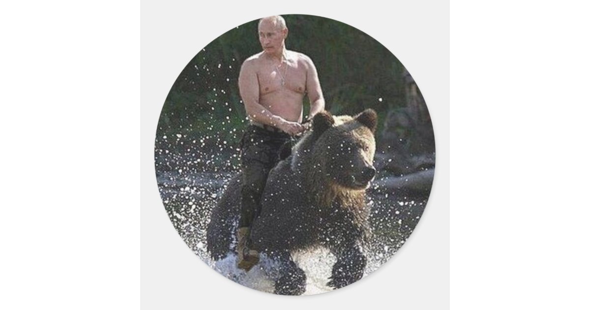 Putin rides a bear! classic round sticker | Zazzle