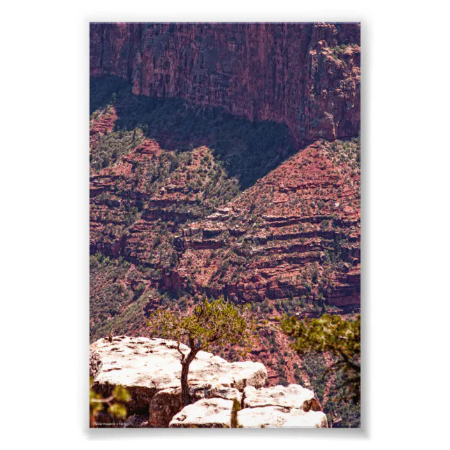 Rafinesque Watches Photo Print | Zazzle