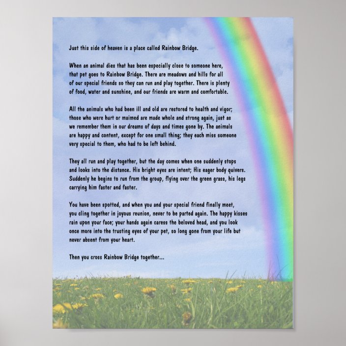 Rainbow Bridge Poster | Zazzle.com.au
