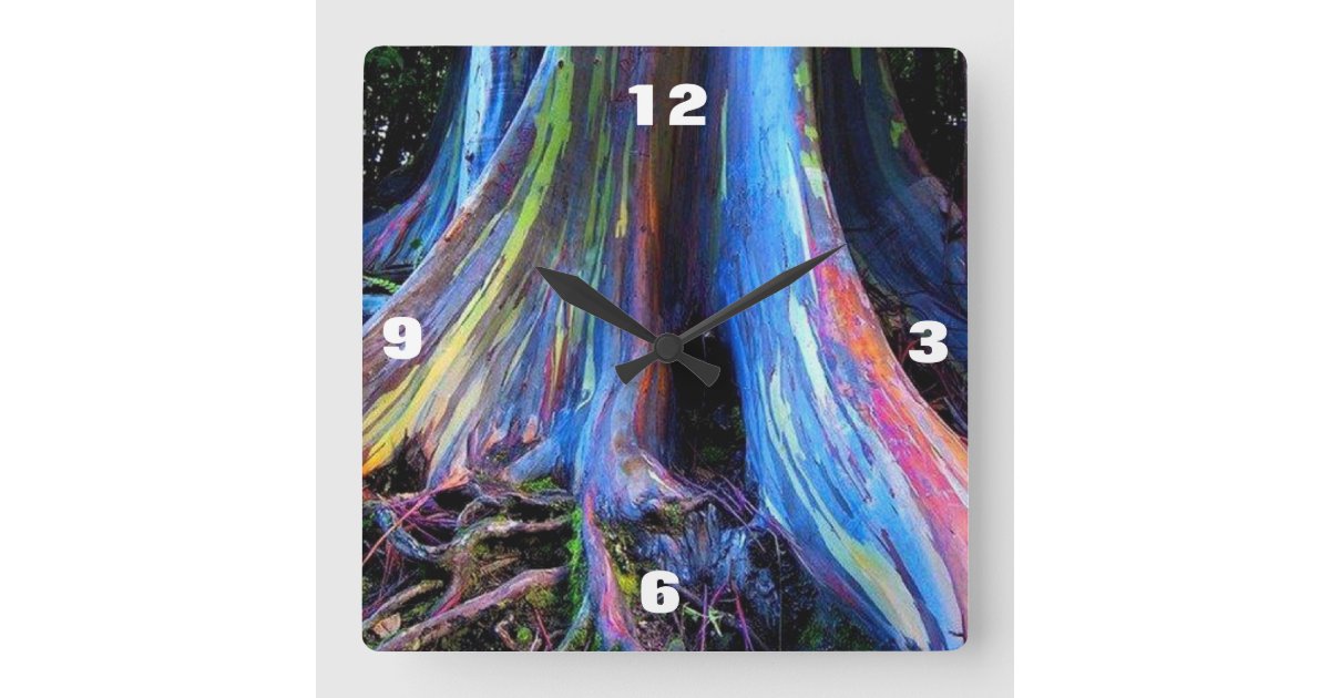 RAINBOW EUCALYPTUS TREE clock | Zazzle