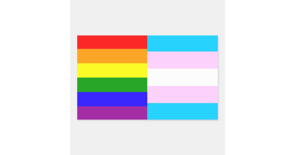 Rainbow/trans pride flags sticker | Zazzle