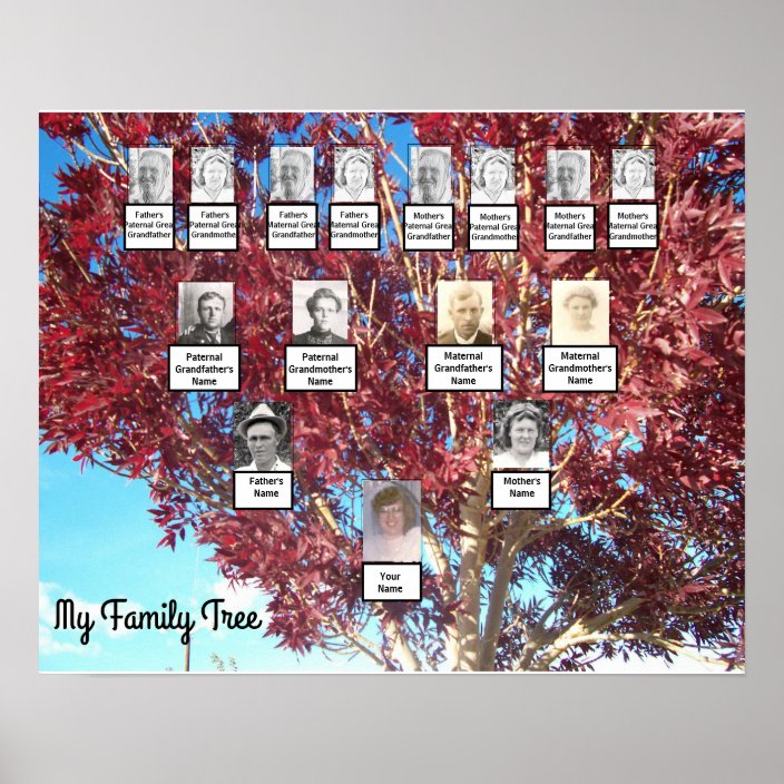 Red Leaf Photo Family Tree with Photos Poster | Zazzle.com.au