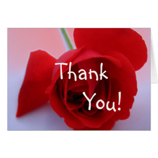 Red Rose Thank You Cards & Invitations | Zazzle.com.au