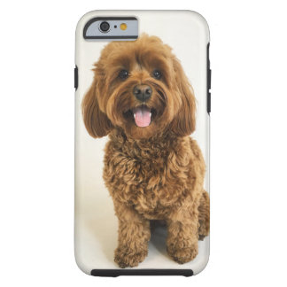 Teddy Bear Phone Cases | Zazzle.com.au