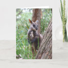 Happy Birthday Wallaby Card | Zazzle.com.au