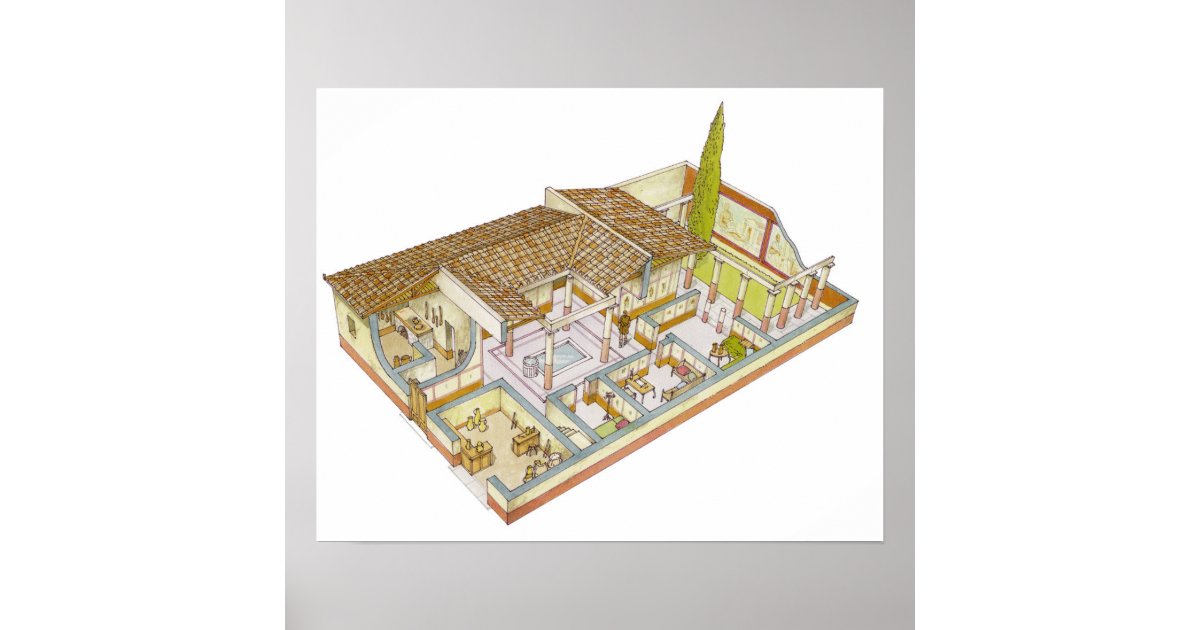 Rome. Domus Poster | Zazzle