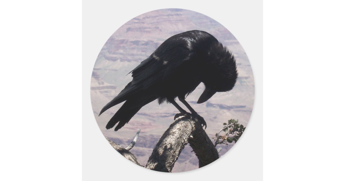 Sad Raven Stickers 01 | Zazzle