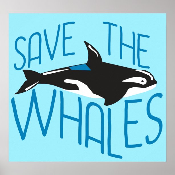 Save The Whales Posters & Photo Prints | Zazzle AU