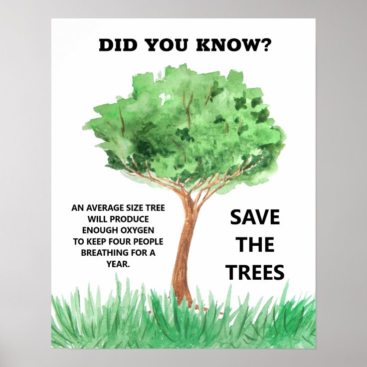 Stop Deforestation Posters For Kids