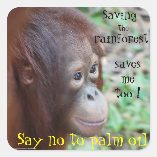 Say No to Palm Oil Climate Change Square Sticker | Zazzle