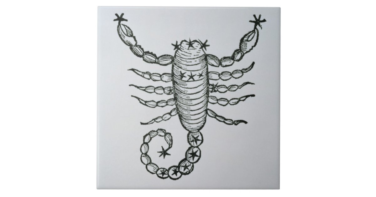 Scorpio (the Scorpion) an illustration from the 'P Ceramic Tile | Zazzle